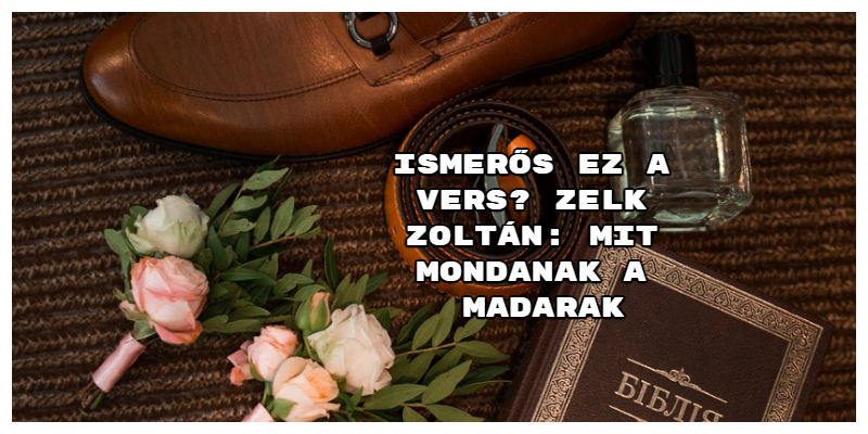 Ismerős ez a vers? Zelk Zoltán: Mit mondanak a madarak