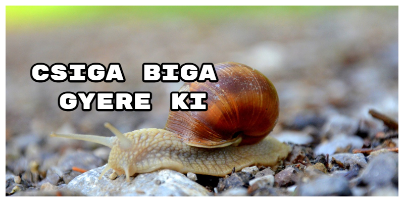 Csiga biga gyere ki