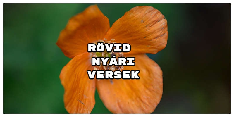 Rövid nyári versek