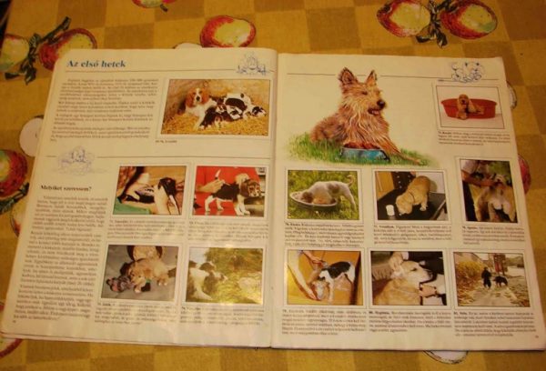 Retró tárgyak: Lutra album